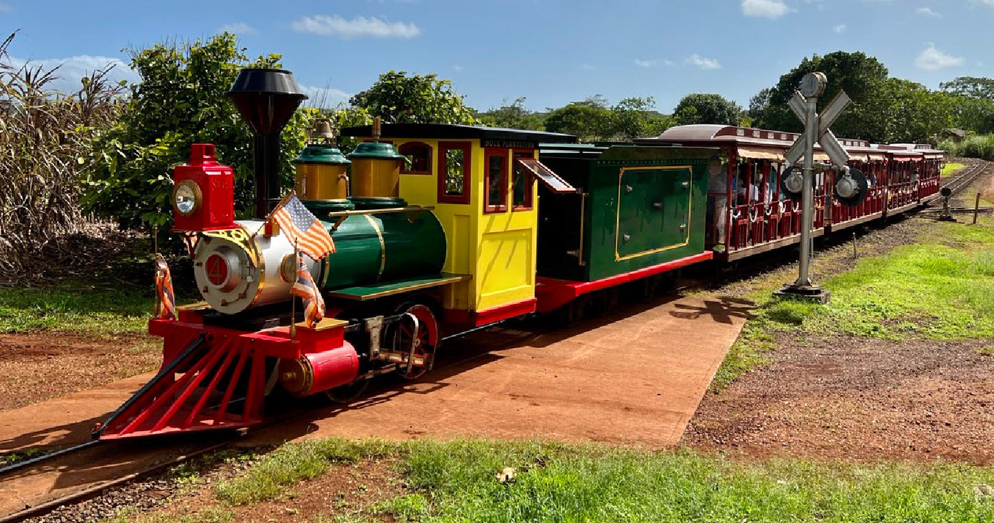 24 Gauge Locomotives | Trainworks Global