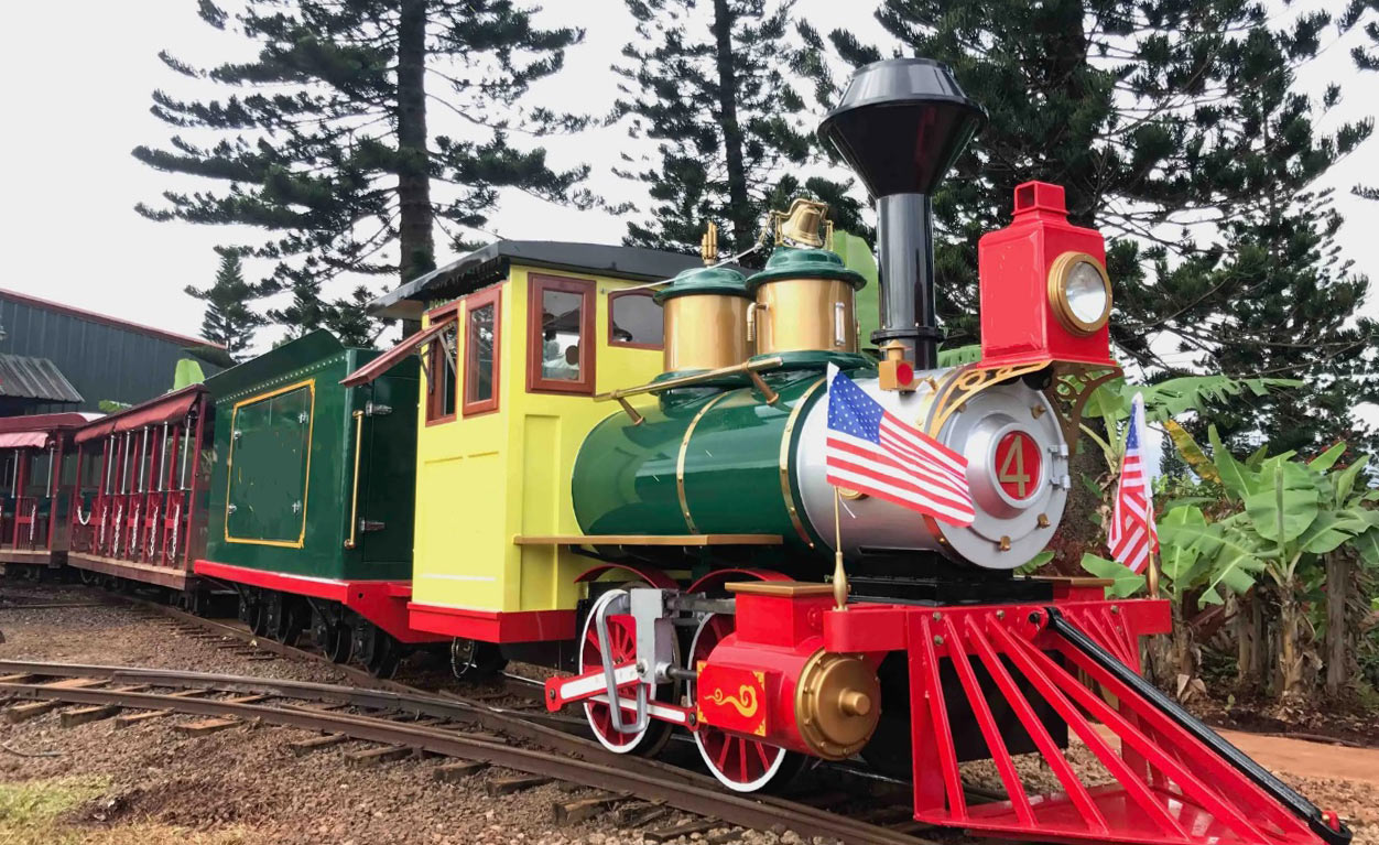 24 Gauge Locomotives | Trainworks Global